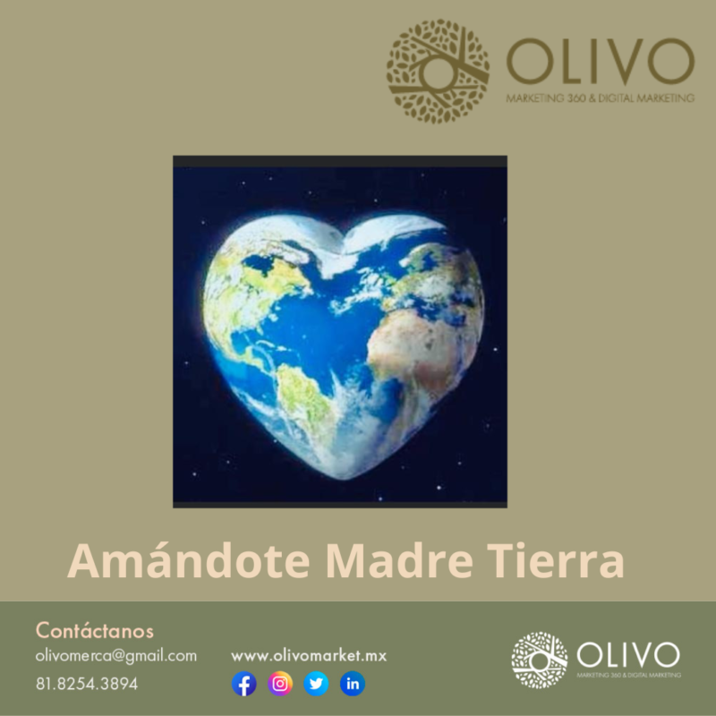 Amándote Madre Tierra – Olivo